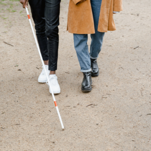 Blind Low Vision NZ - International Day of People with Disabilities