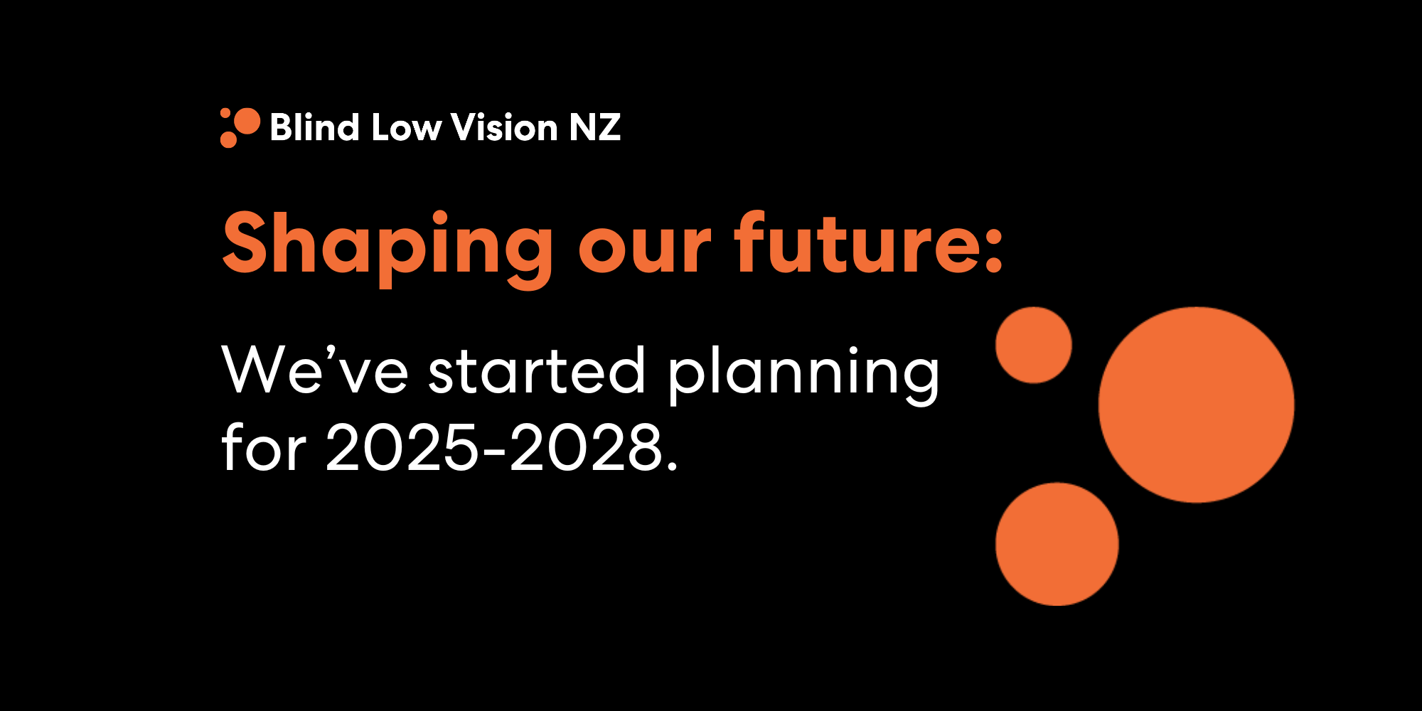 Blind Low Vision NZ - Shaping our future: 2025-2028