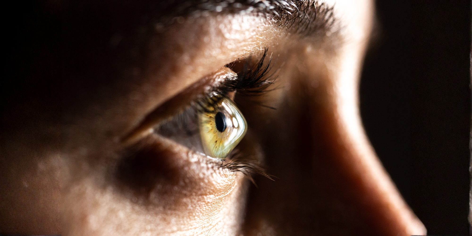 Blind Low Vision NZ - All about Keratoconus